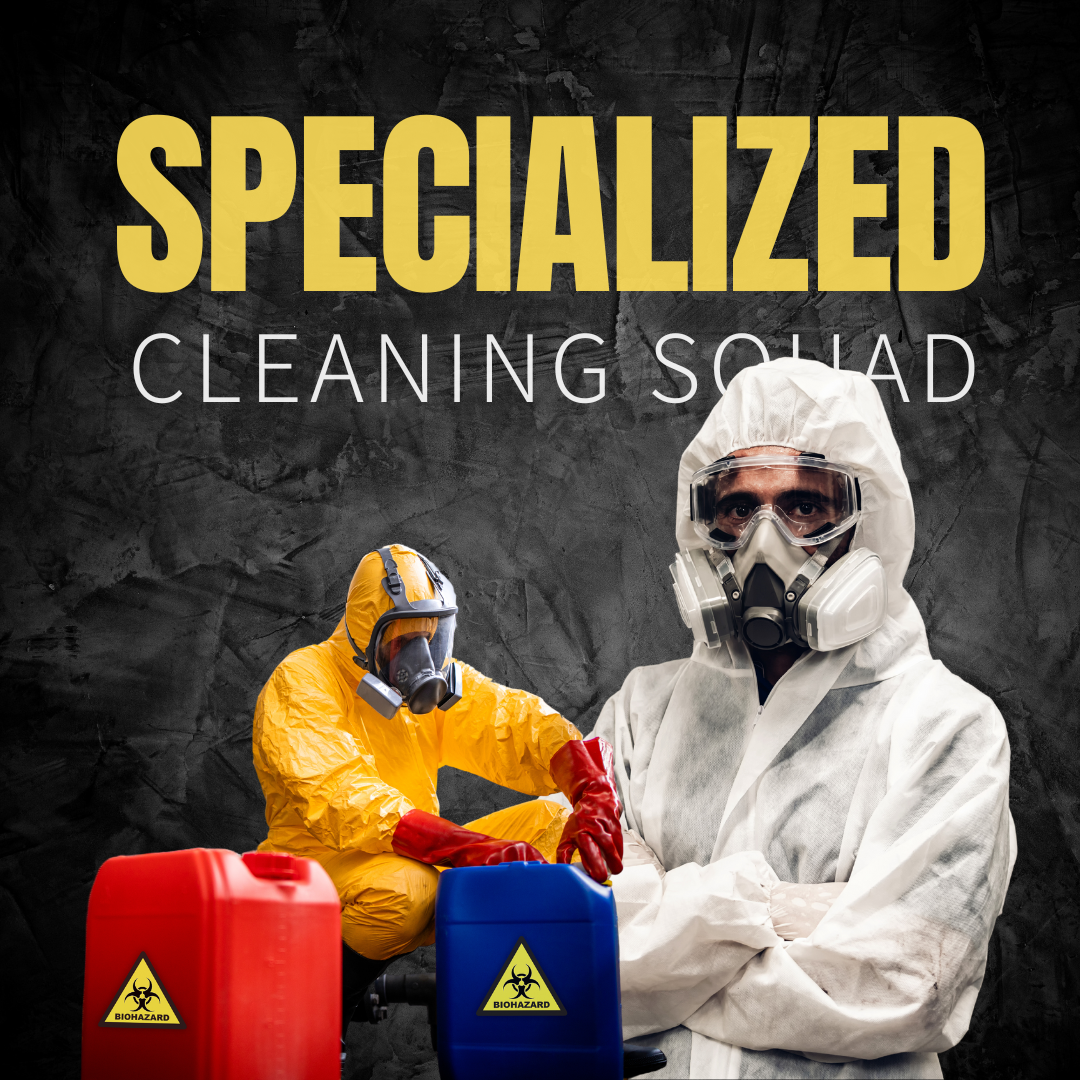 Cleanaholics – Cleanaholicsmalaysia.com