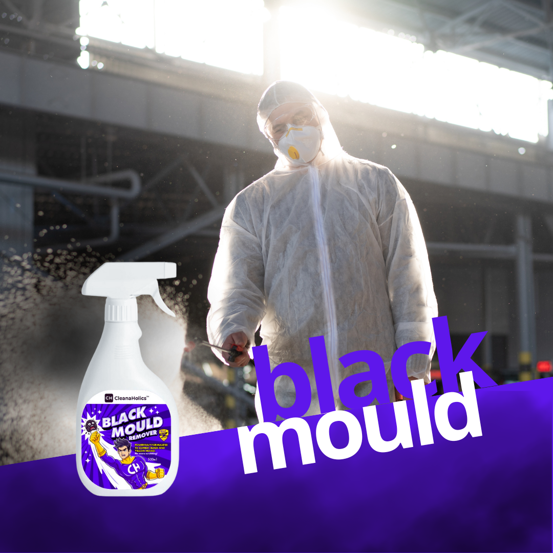 Cleanaholics – Cleanaholicsmalaysia.com